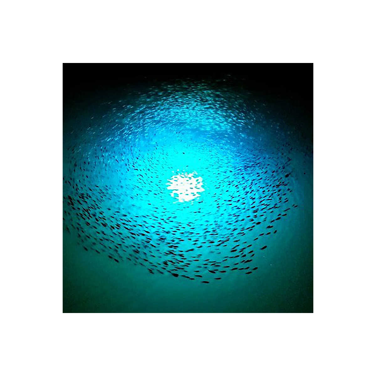 LED fishing attraction spotlight 1100W